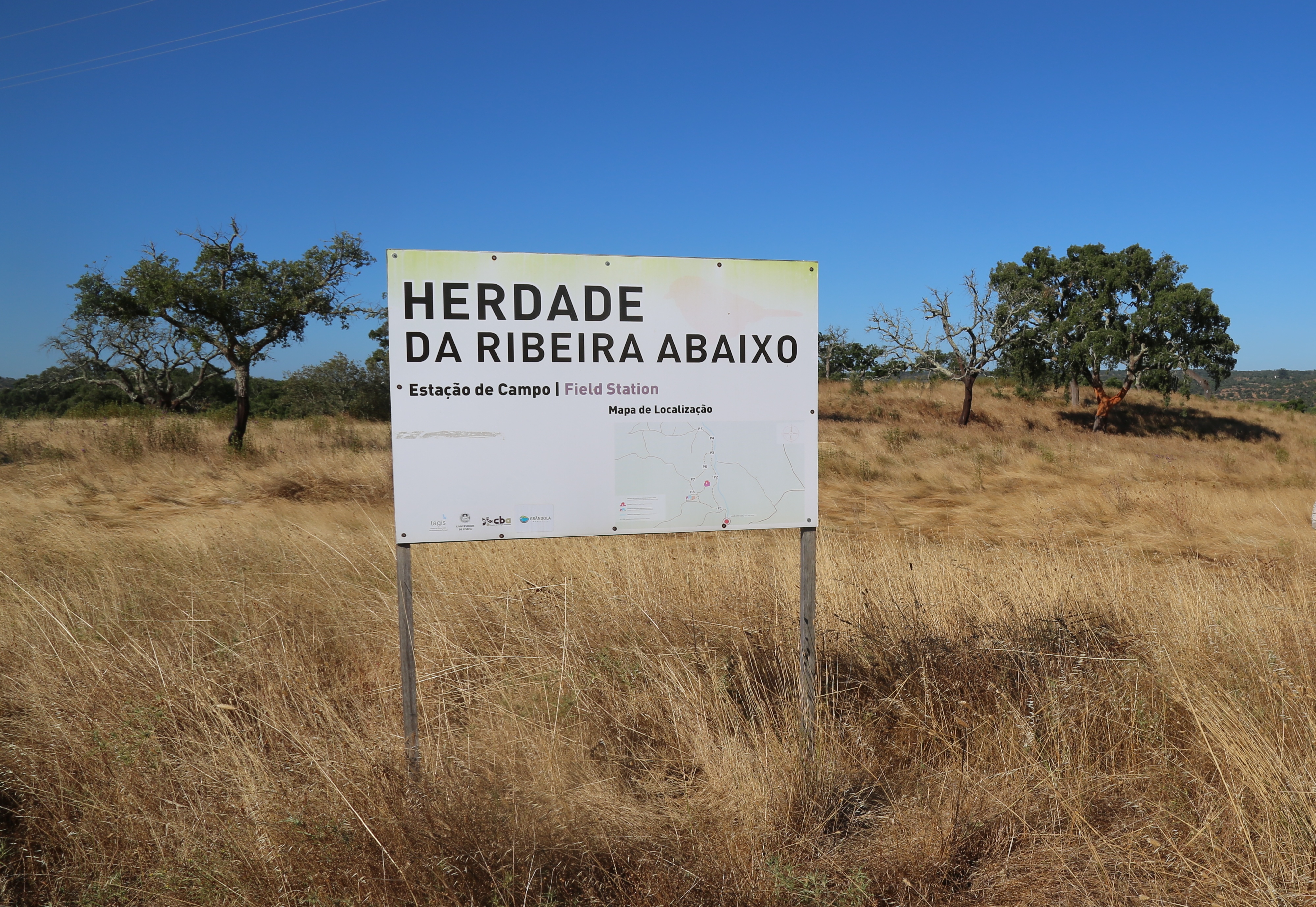Município de Grândola e Faculdade de Ciências de Lisboa promovem ...